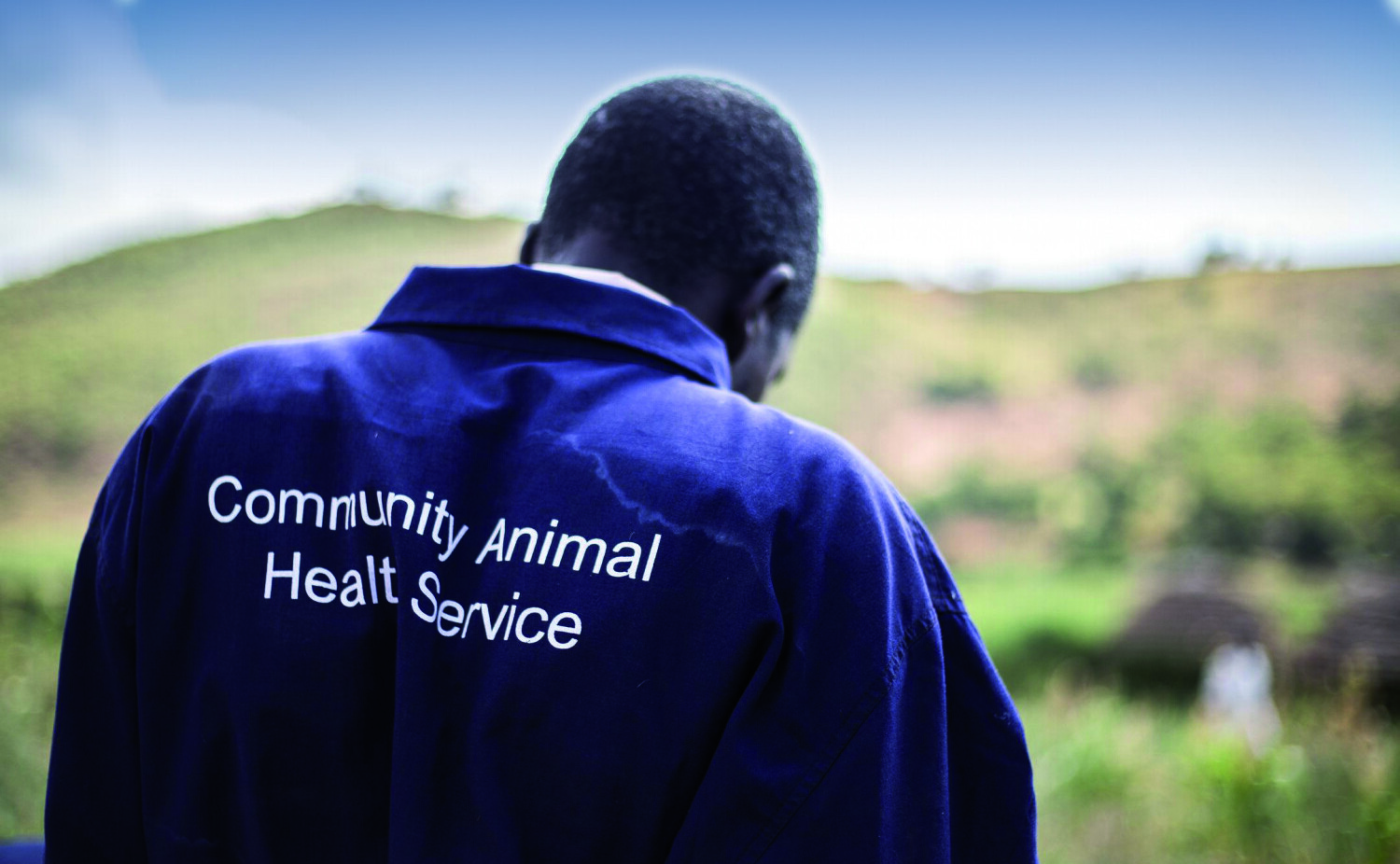 One Health – Animal Welfare Competence Center For Africa
